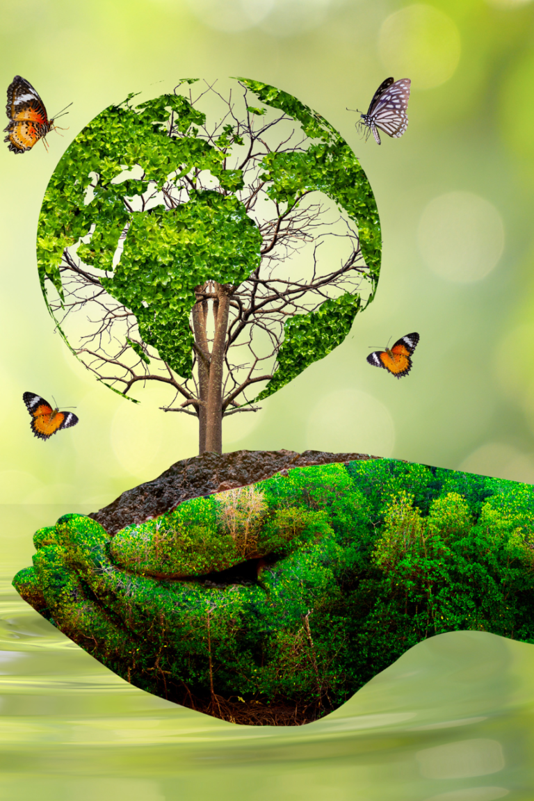 CLIMATE CHANGE – Organization for Empowerment & Support